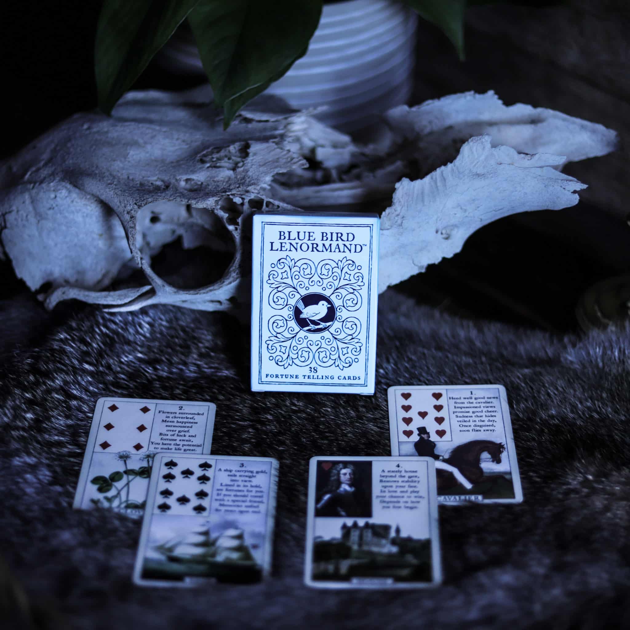 Blue Bird Lenormand Deck. - RitualCravt | Metaphysical & Witchy Wares