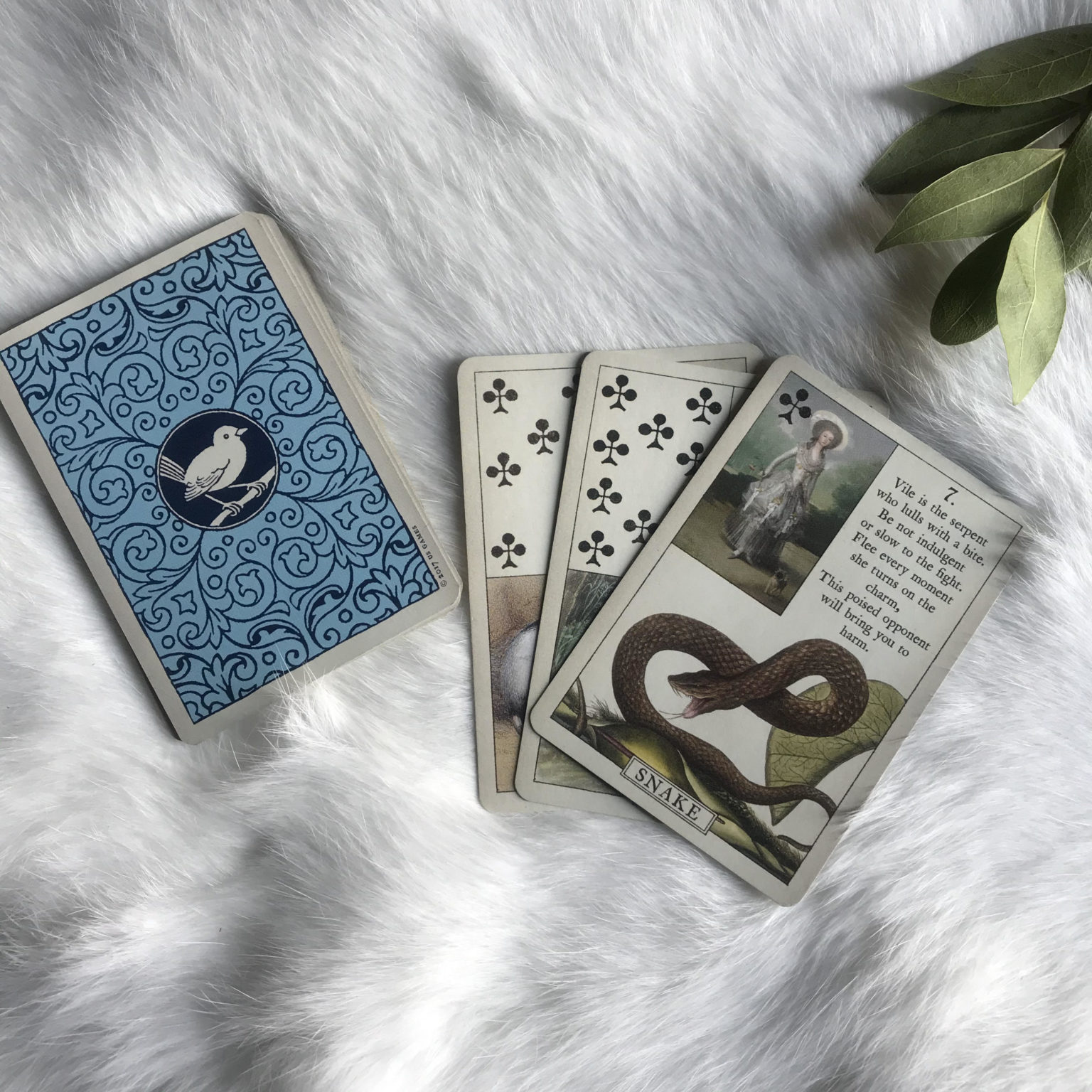 Blue Bird Lenormand Deck. - RitualCravt | Metaphysical & Witchy Wares