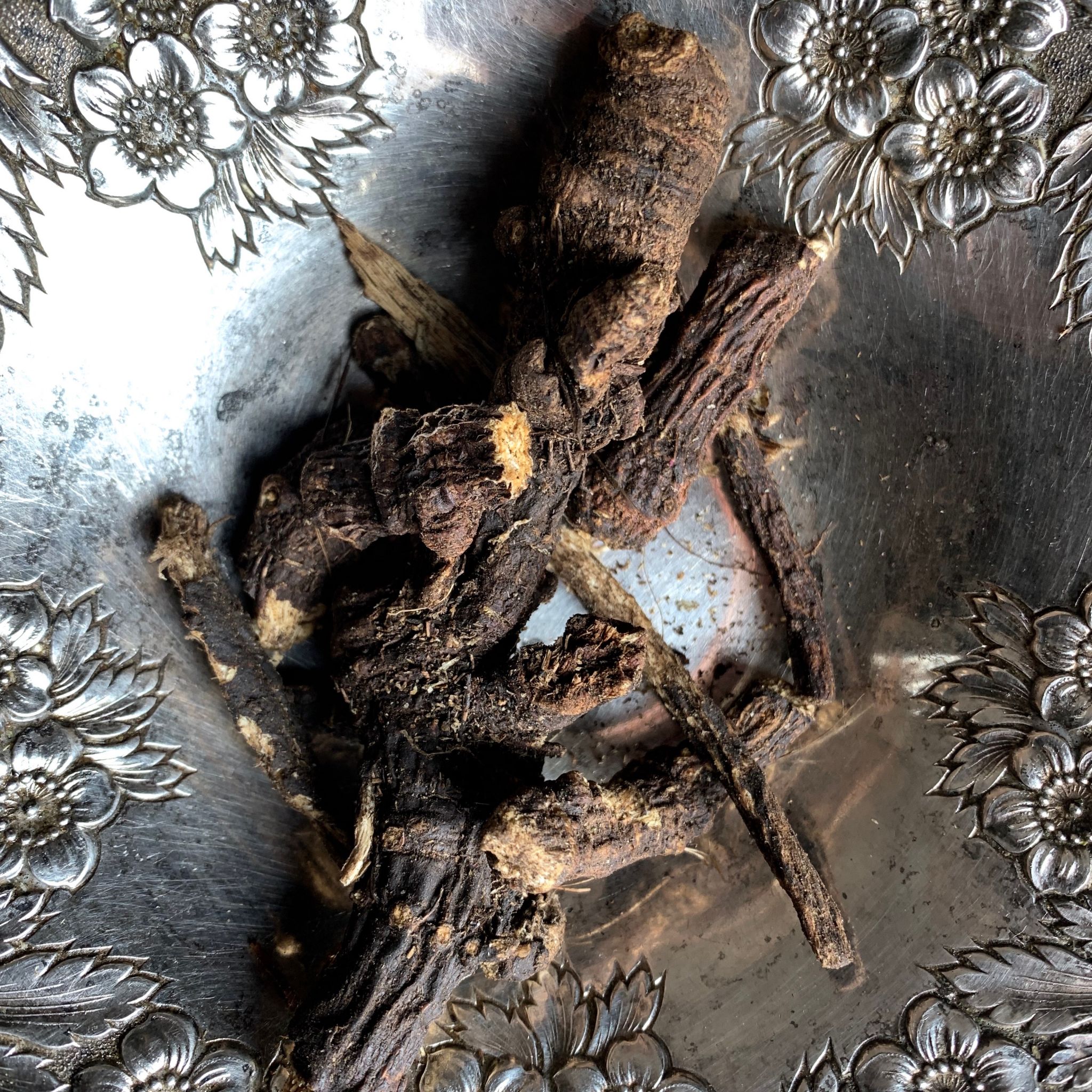 Osha Root. Bear Root. - RitualCravt | Metaphysical & Witchy Wares