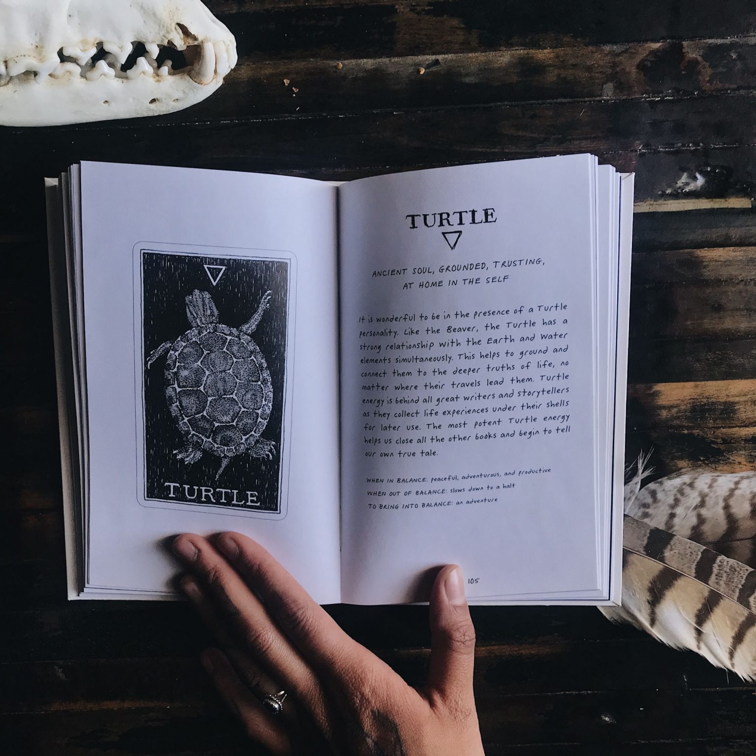 The Wild Unknown Animal Spirit Oracle Deck. By Kim Krans. - RitualCravt