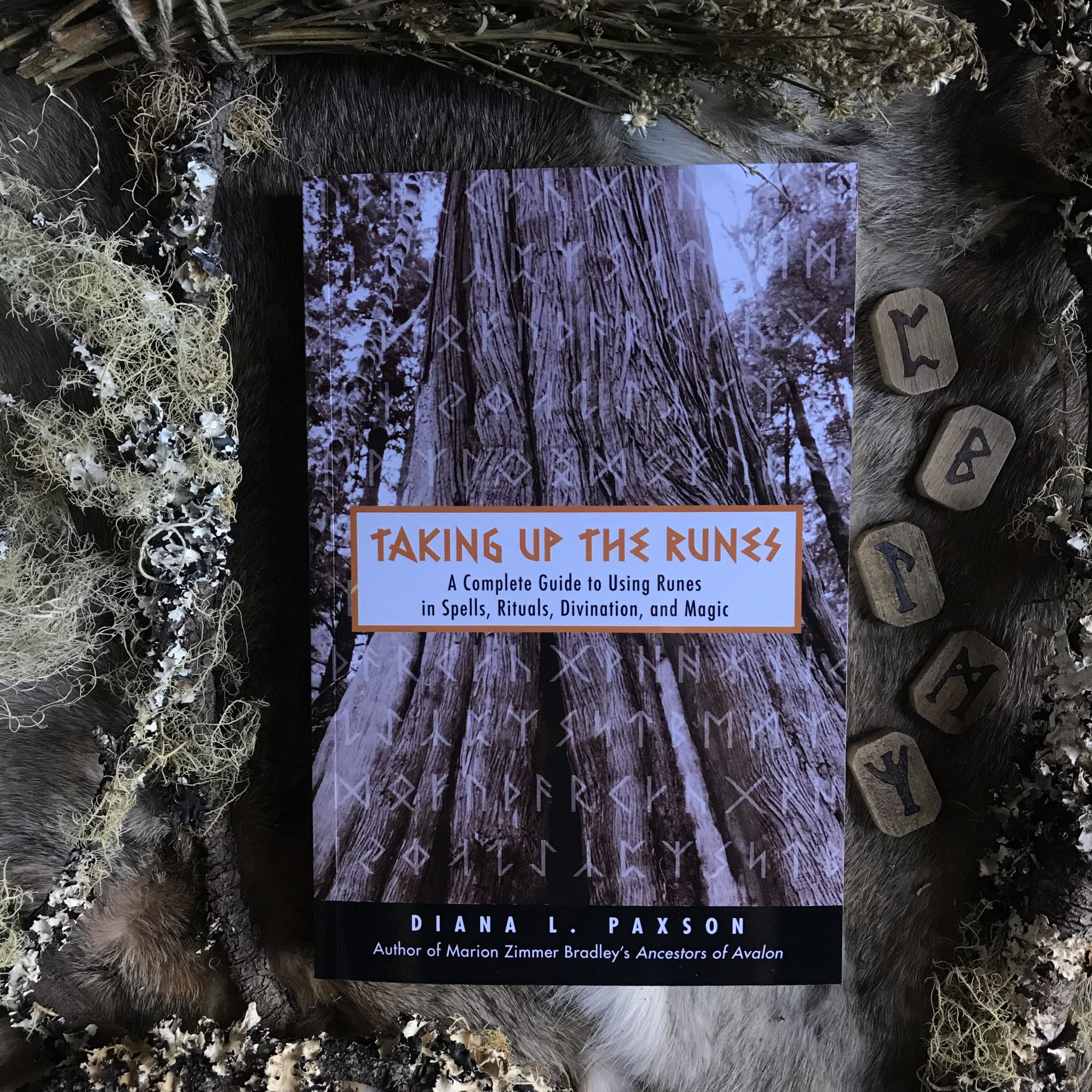 Taking Up The Runes. By Diana L Paxson. - RitualCravt | Wheat Ridge, CO