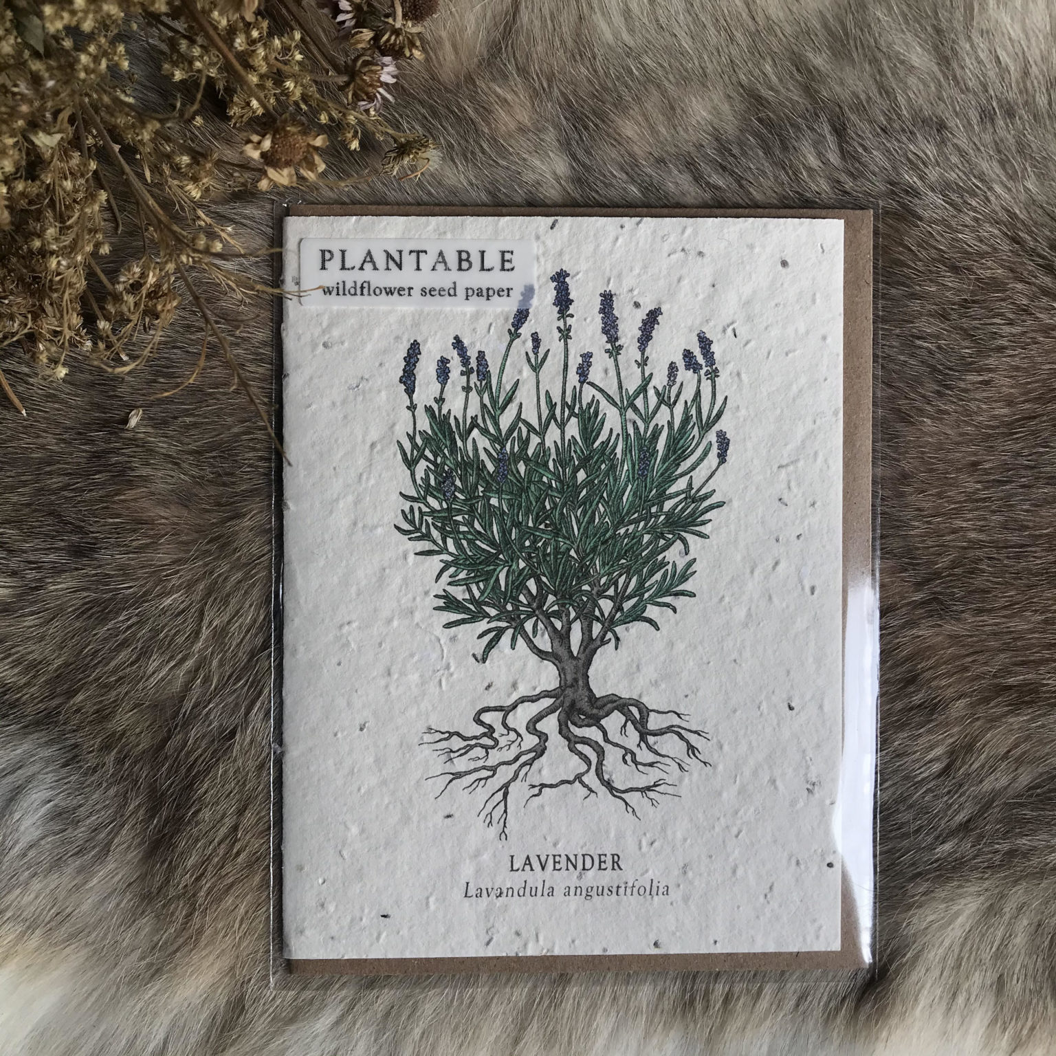 Plantable Wildflower Seed Paper Cards. By The Bower Studio. - RitualCravt