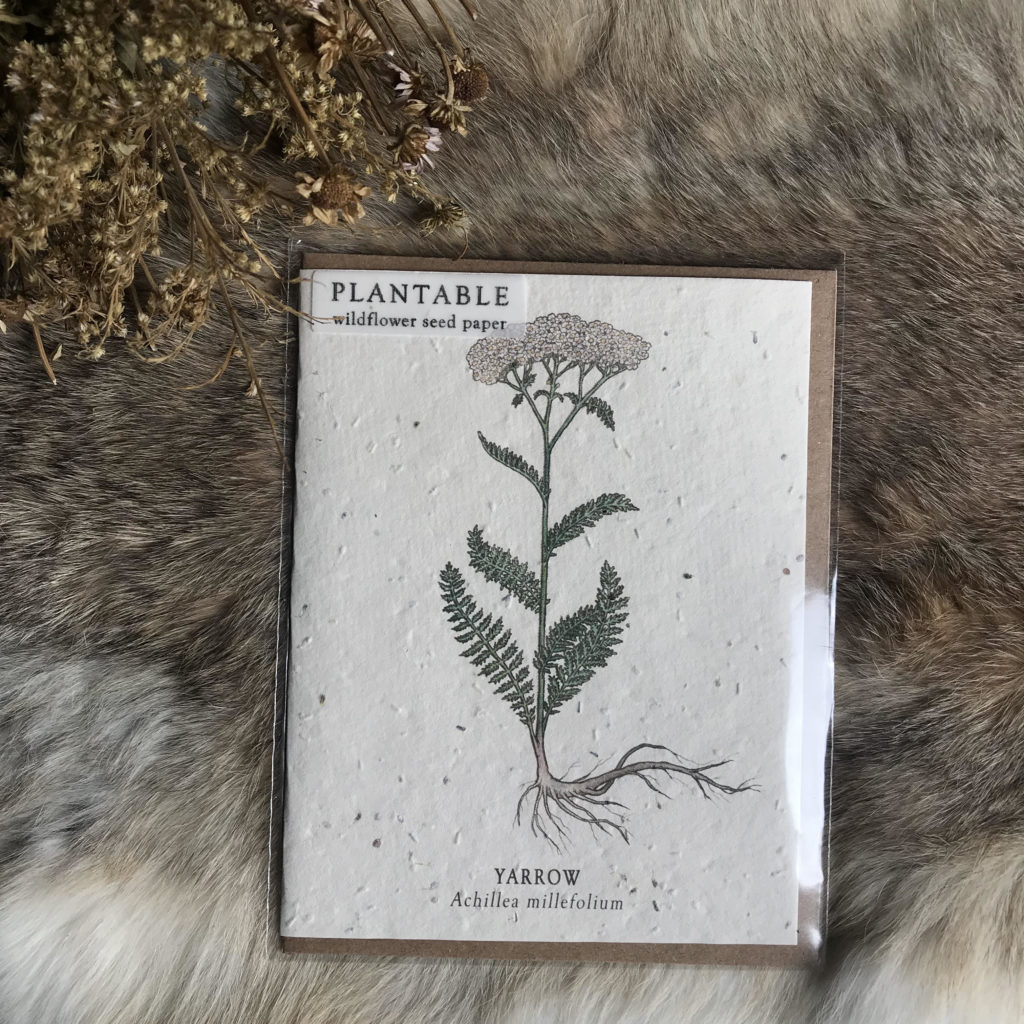 Plantable Wildflower Seed Paper Cards. By The Bower Studio. - RitualCravt
