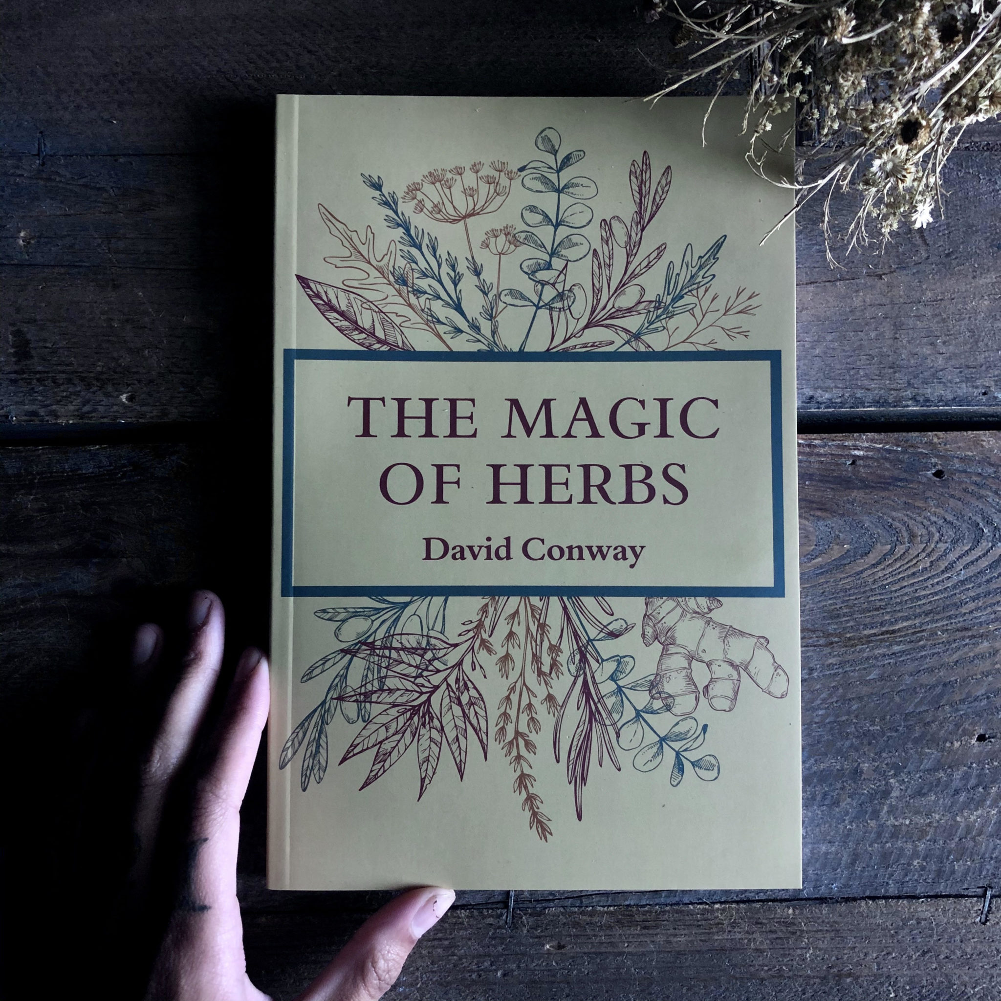 The Magic of Herbs. By David Conway. - RitualCravt | Wheat Ridge, CO