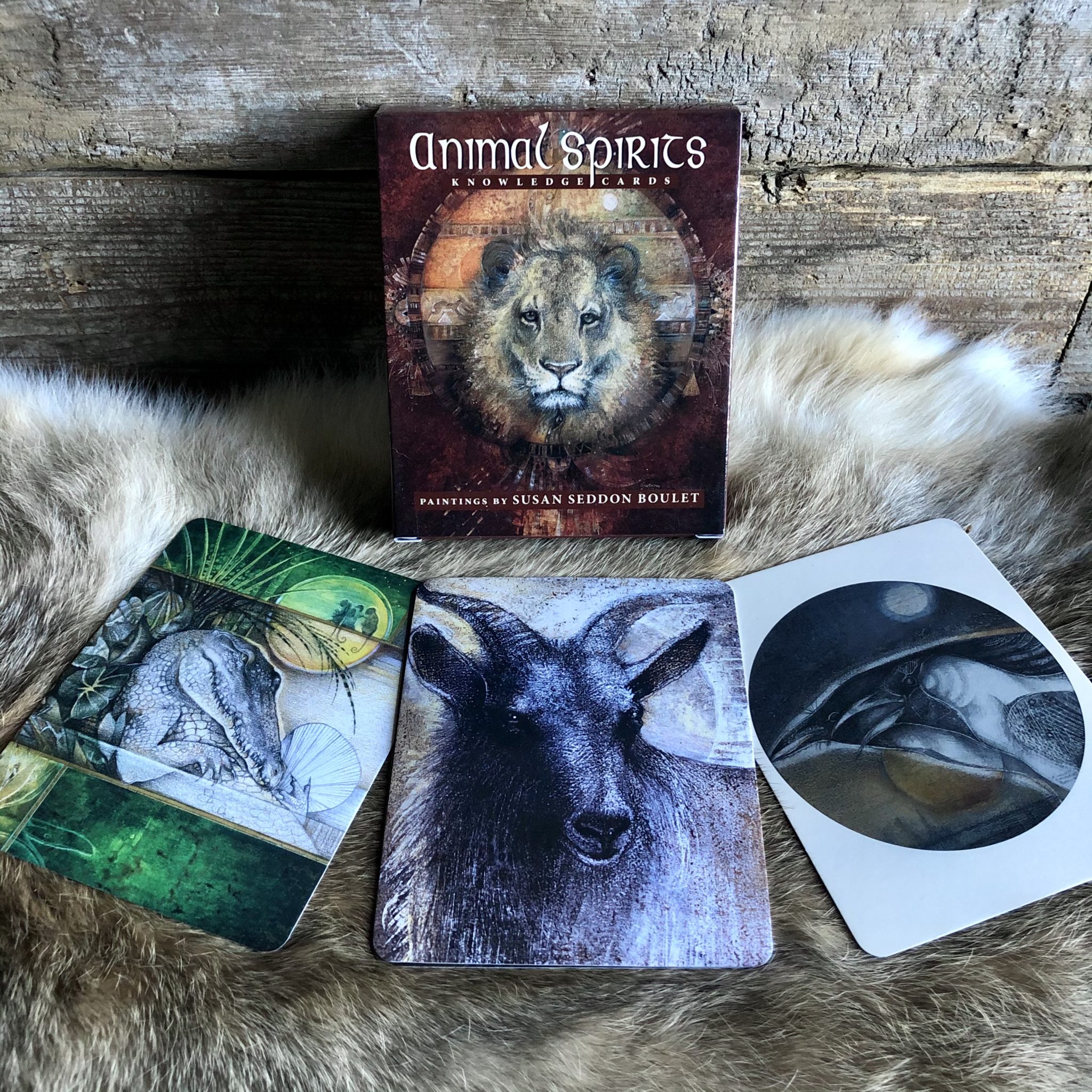 Animal Spirits Knowledge Cards. - RitualCravt | Metaphysical & Witchy Wares