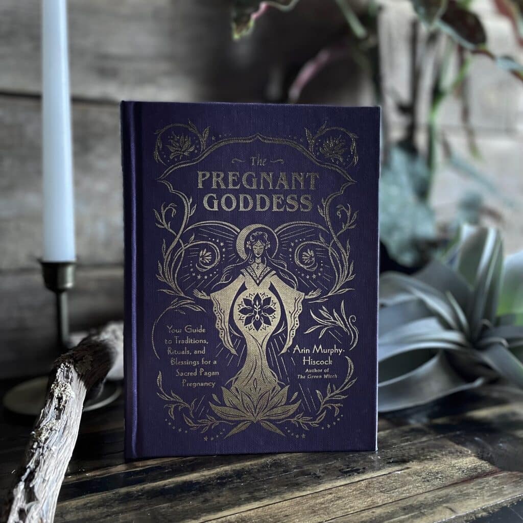 The Pregnant Goddess. Your Guide to Traditions, Rituals, and Blessings ...